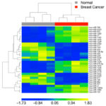 Science & Technology – Canary Global