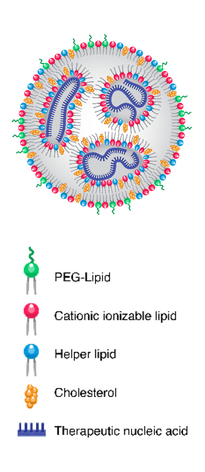Science & Technology – Canary Global